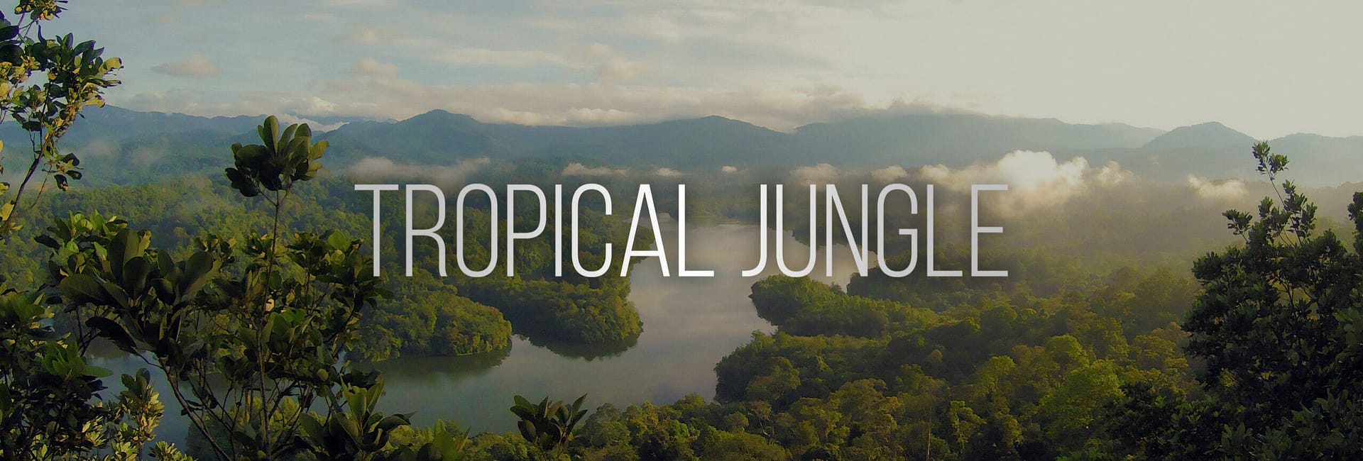 WELCOME TO THE JUNGLE | BOOM Library