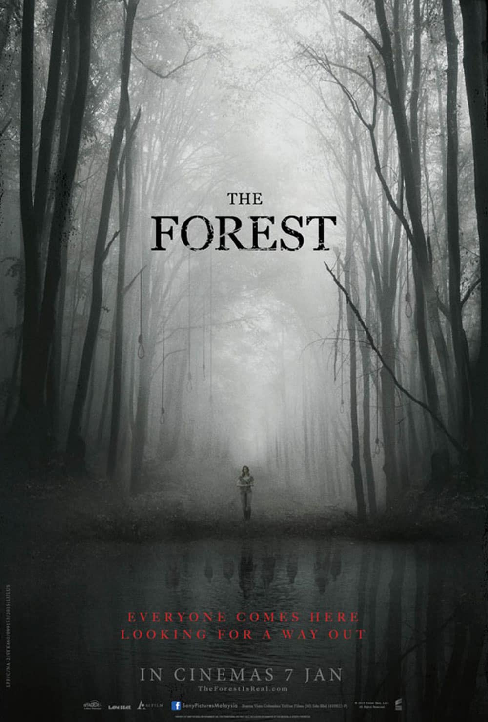The Forest | BOOM Library